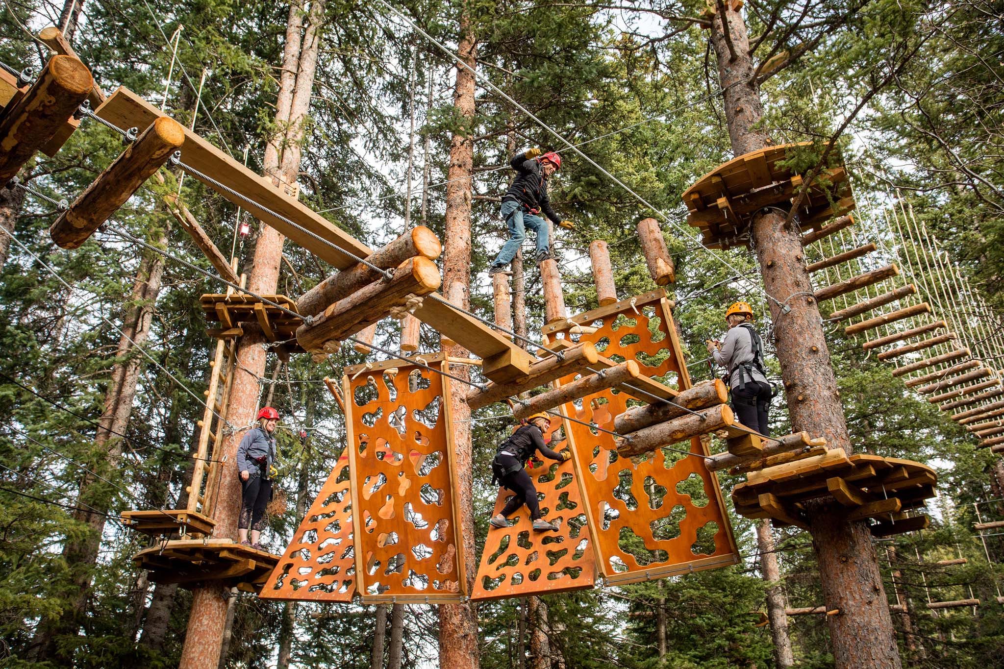 Aerial Adventure Parks - Bonsai Design | World-Class Adventure Course ...