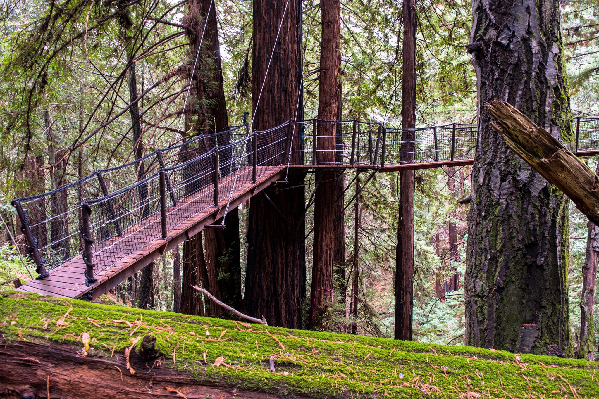Sky Bridge Trails and Suspension Bridges - Bonsai Design | World-Class ...